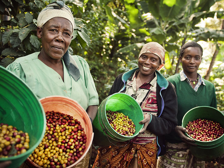 Fair trade - The Day