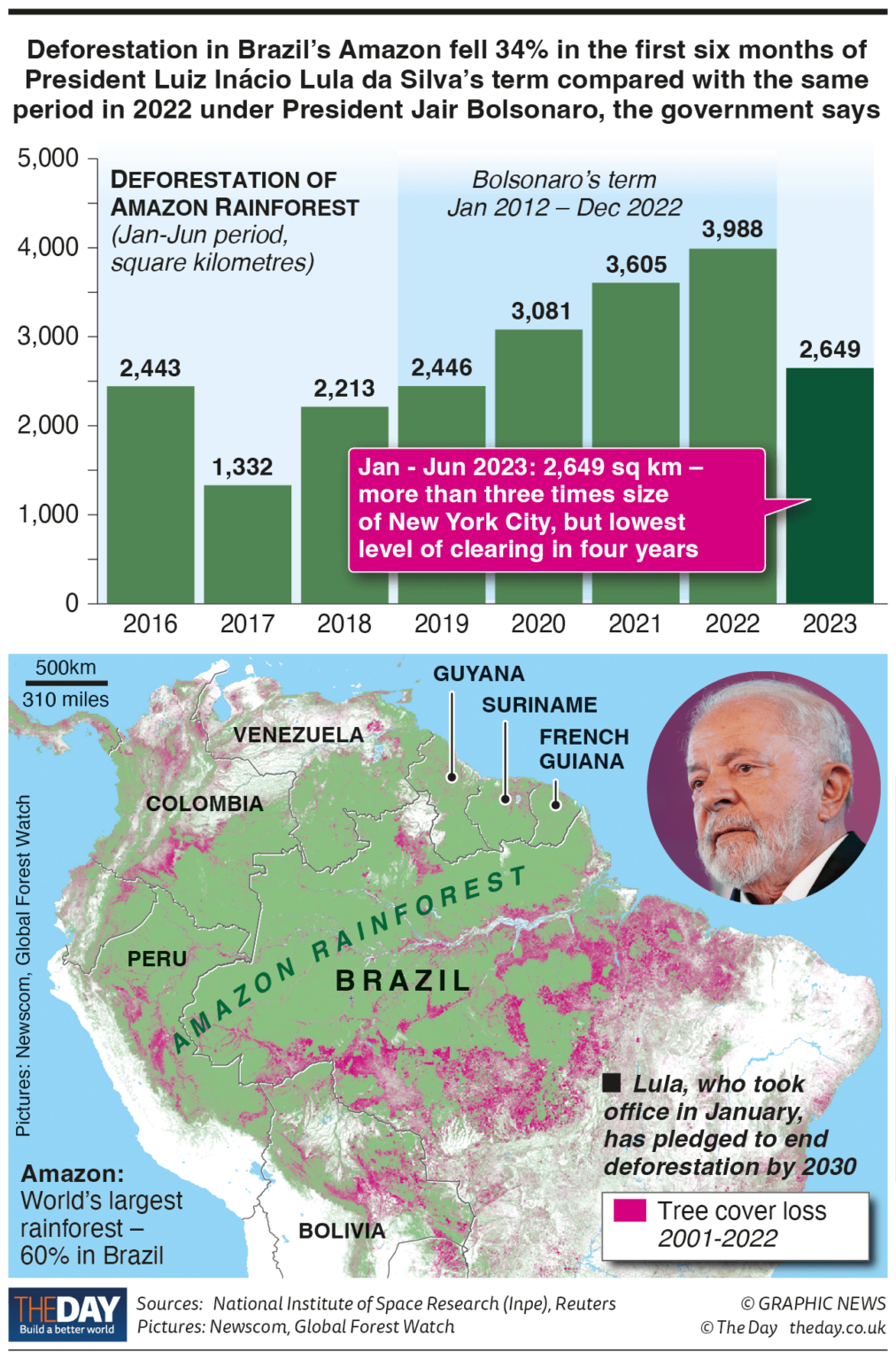 The future of the Amazon rainforest - The Day