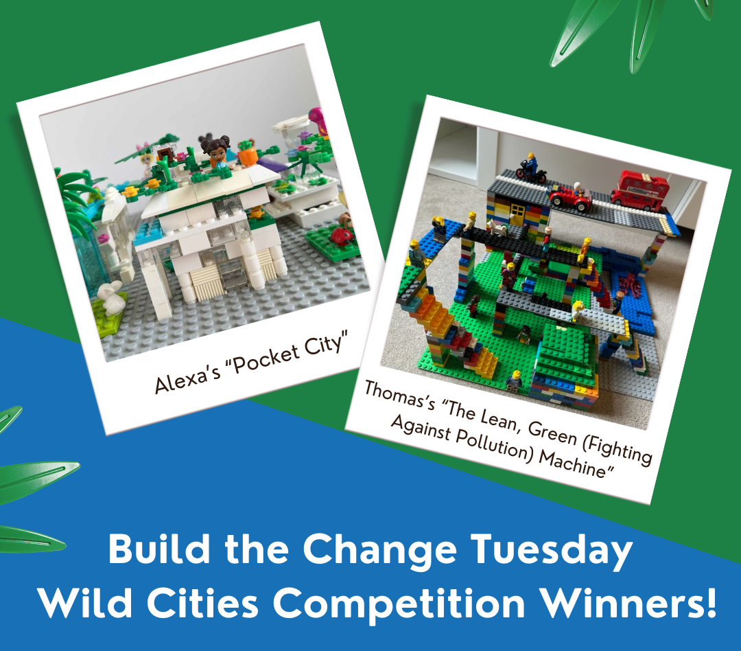 Build the Change: Wild Cities Competition winners