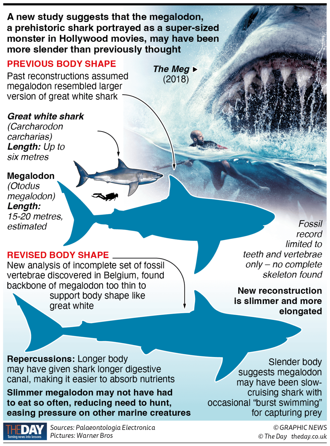 Rethinking the megalodon - The Day
