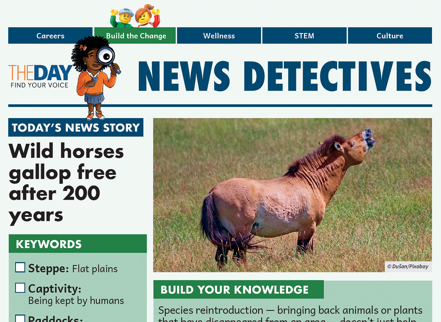 Wild horses gallop free after 200 years (Reading Level 3) - The Day