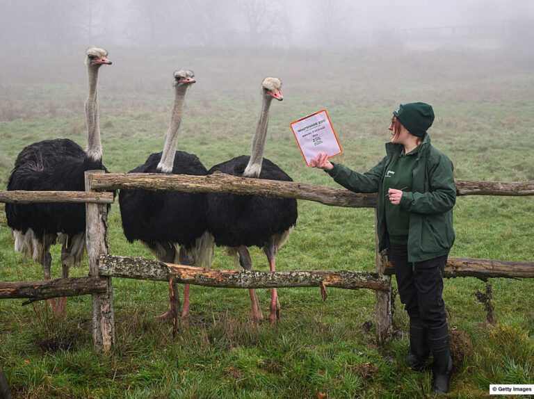 A week in 10 questions - The Day