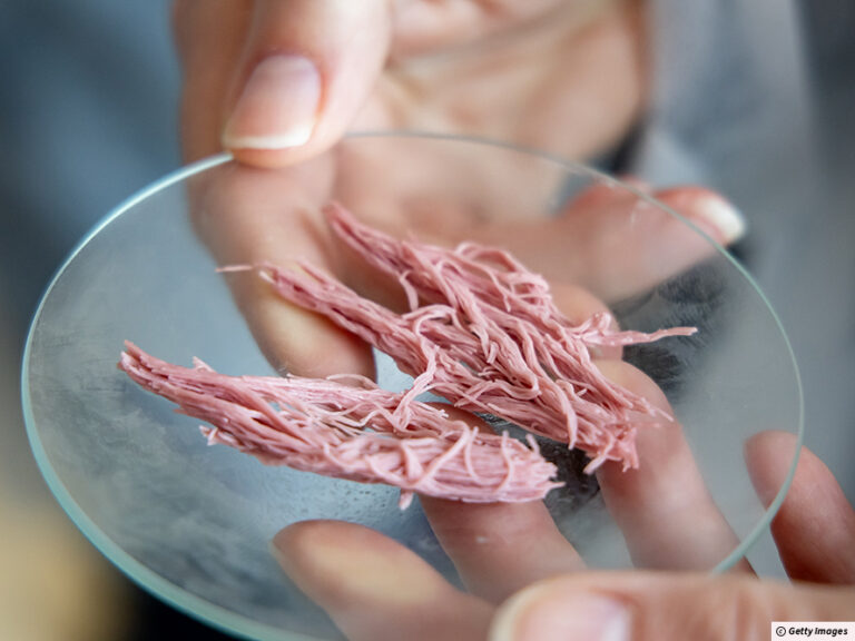 Hungry? 3D-printed meat is on the menu (Reading Level 4-5) - The Day